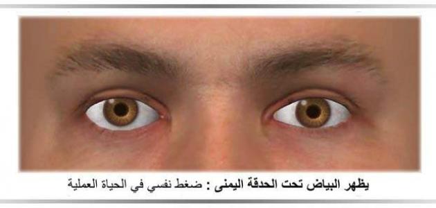 ملامح الوجه وعلاقتها بالشخصية - موضوع