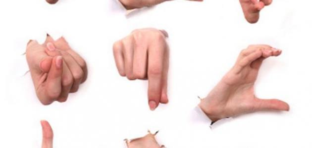 How Do You Learn Body Language